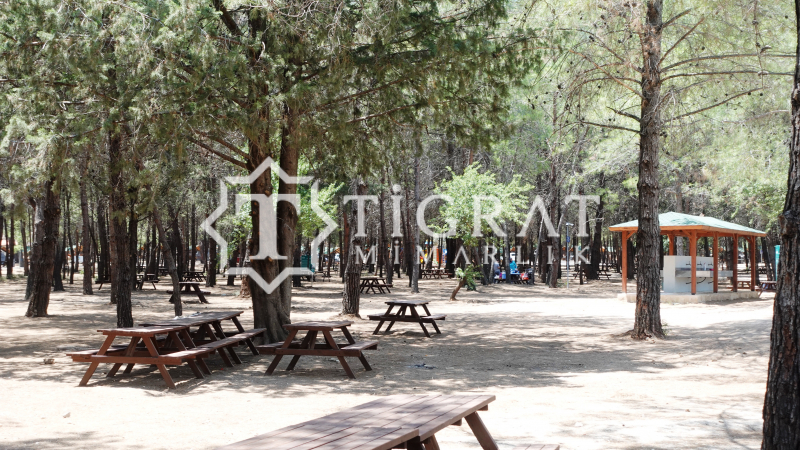 BEYDAĞLARI SAHİL MİLLİ PARKI BÜYÜK ÇALTICAK GÜNÜBİRLİK ALANI - Tigrat ...